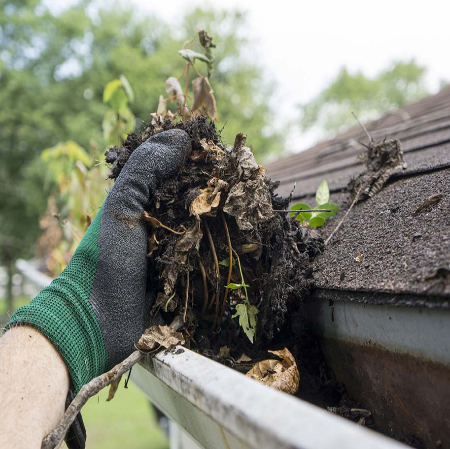 Gutter Cleaning 101: Keeping Your Flagstaff Home High and Dry ⋆ Kopa ...